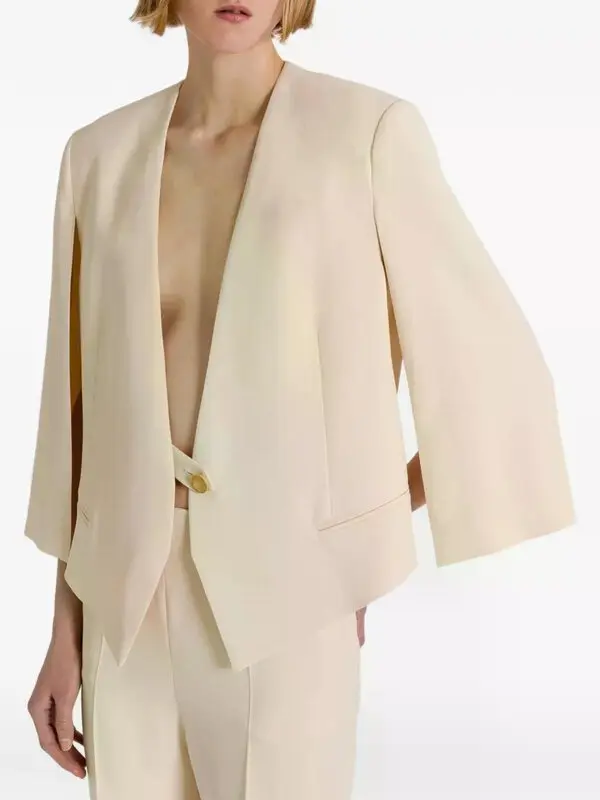 Alberta Ferretti V-neck Single-breasted Blazer