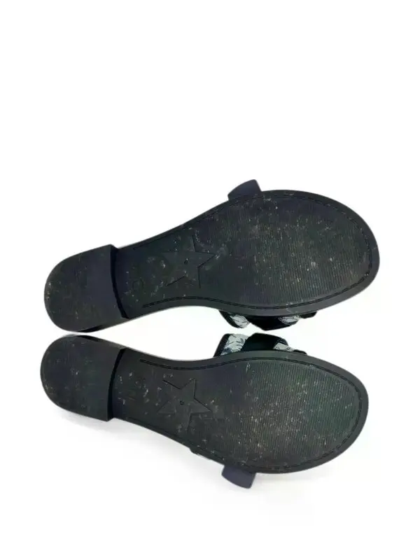 Dior Revolution Toile De Jouy Slide Sandals