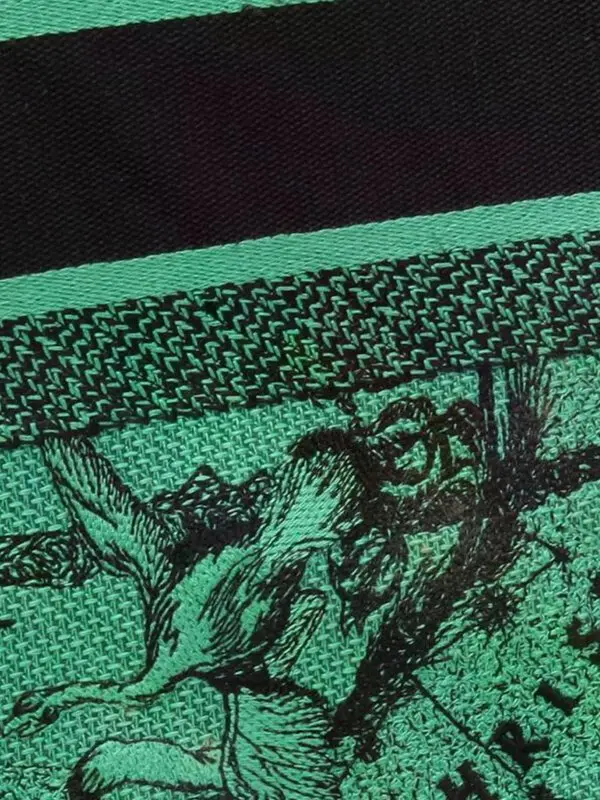 Dior 2000-2026 Medium Embroidered Canvas Book Tote Bag - Green