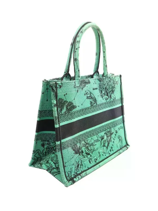 Dior 2000-2026 Medium Embroidered Canvas Book Tote Bag - Green