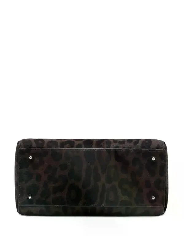 Dior 2014 Medium Pony Hair Leopard Print Lady Satchel - Brown