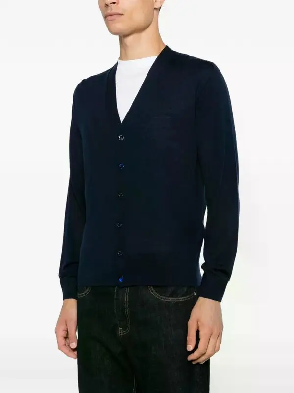 Canali Button-fastening V-neck Cardigan