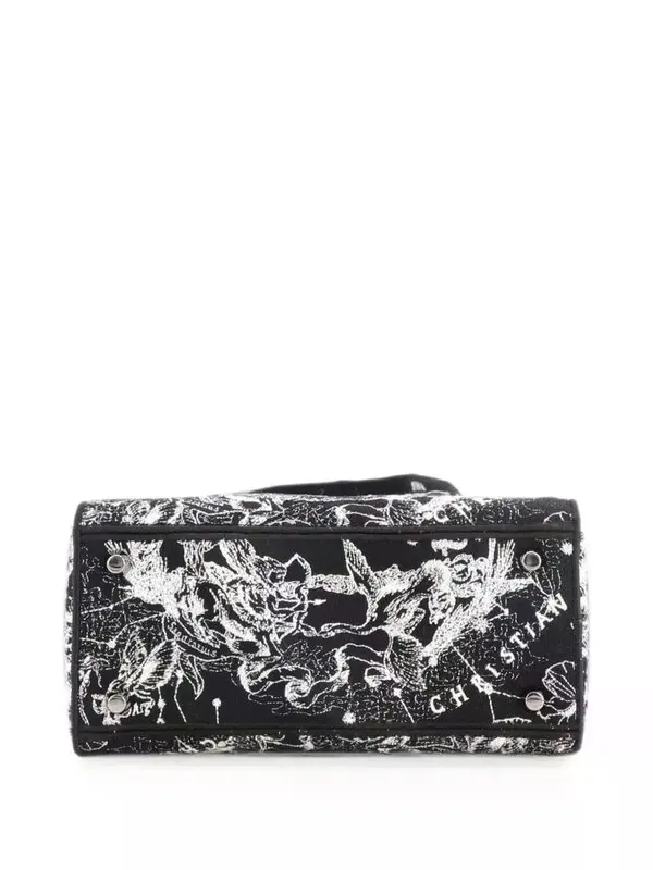Dior Lady D-lite Bag Embroidered Canvas Medium Satchel - Black