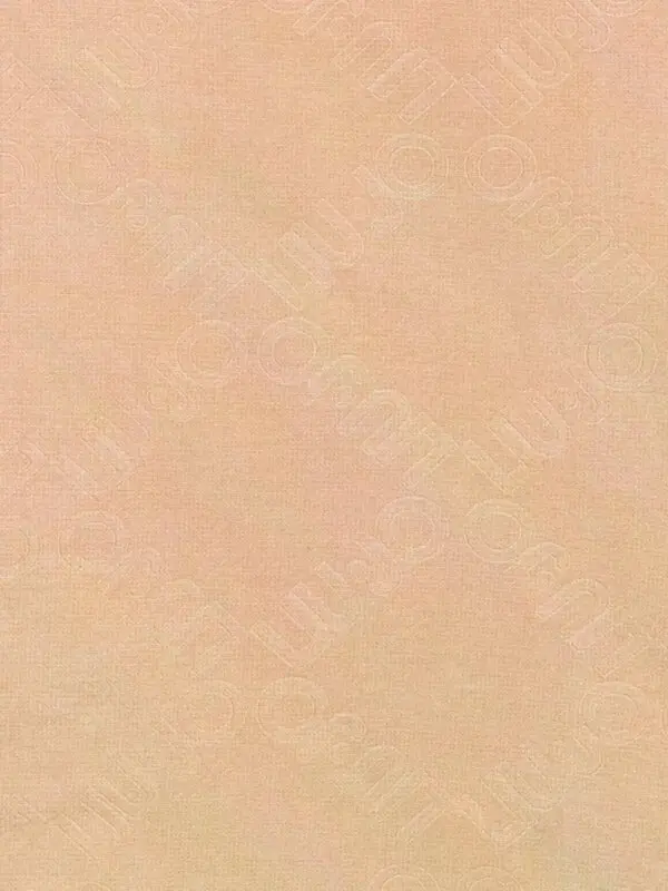Liu Jo Logo-jacquard Fringed Scarf