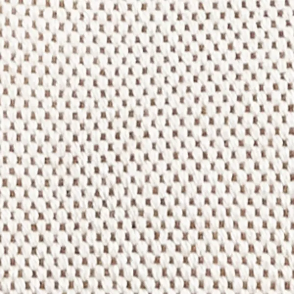 Chloé Canvas Clover Carry Tote Bag