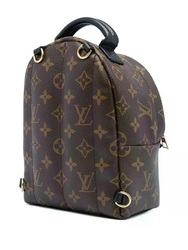 LOUIS VUITTON 2010 Monogram Mini Palm Springs Backpack
