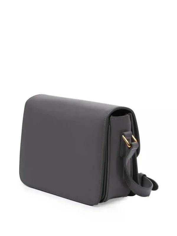 Celine Shiny Calfskin Triomphe Crossbody Bag