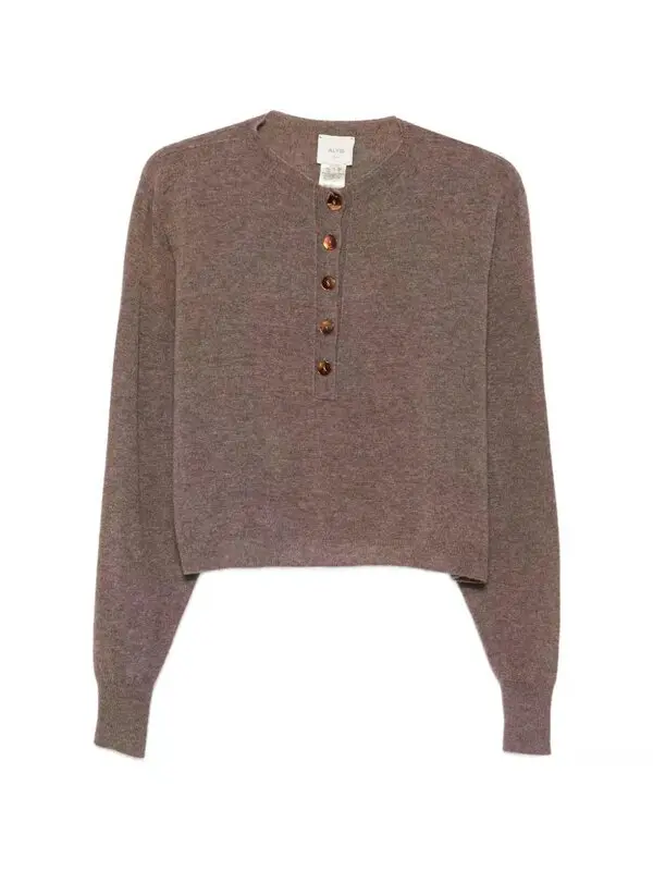 ALYSI Button-fastening Cropped Cardigan - Brown