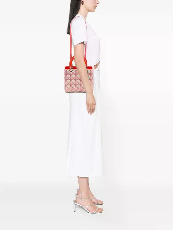 Dior 2012 Medium Lambskin Cannage Stitched Lady Satchel - Neutrals