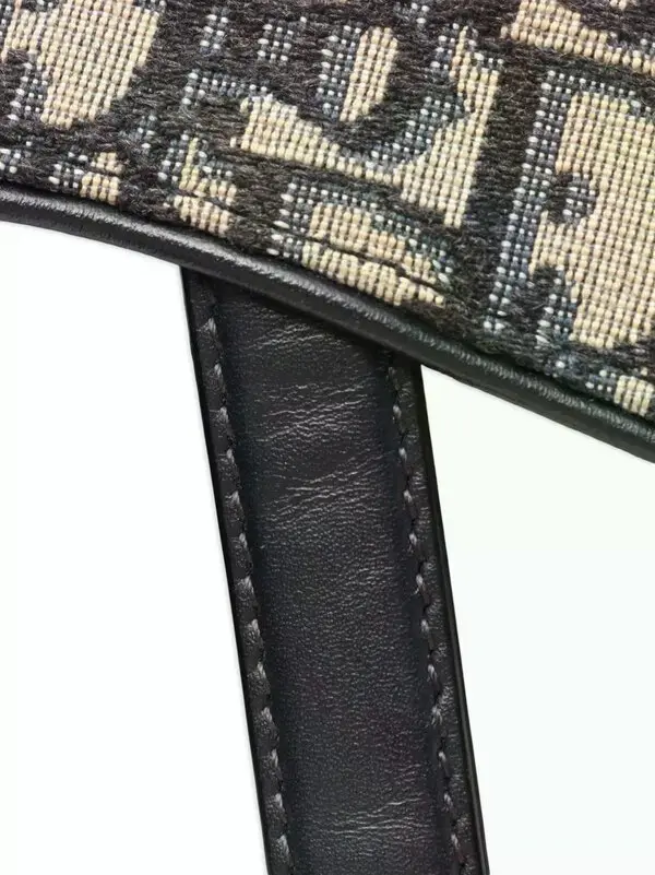 Dior Saddle Tote Bag - Neutrals
