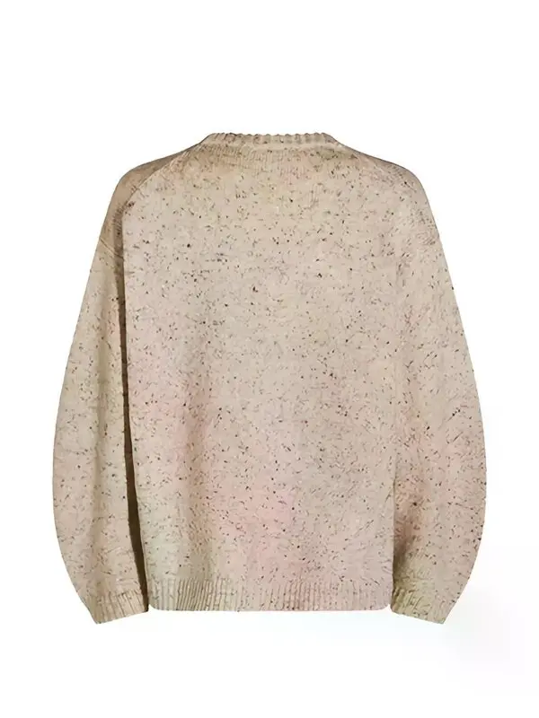 Fabiana Filippi Flecked-knit Crew-neck Sweater