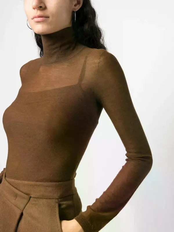 Max Mara Semi-sheer High-neck Jumper