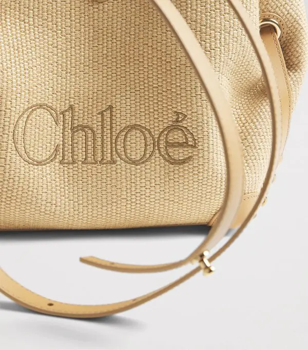 Chloé Small Raffia-effect Clover Carry Top-handle Bag