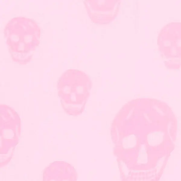 Alexander McQueen Silk Skull Scarf