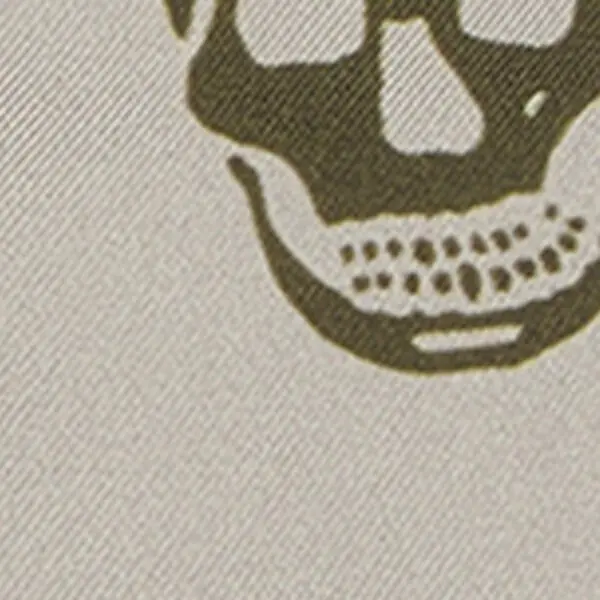 Alexander McQueen Silk Skull Skinny Scarf