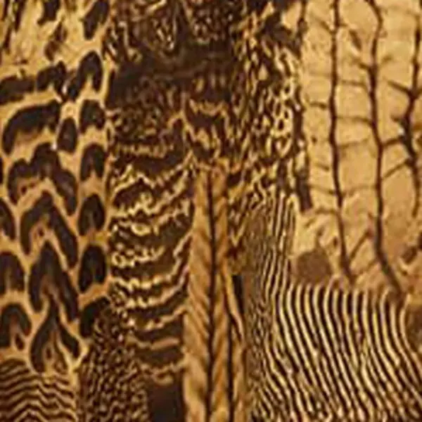 ALLSAINTS Animal Print Claire Midi Dress