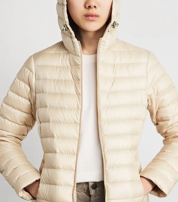 Moncler Down Quilted Igelhood Jacket
