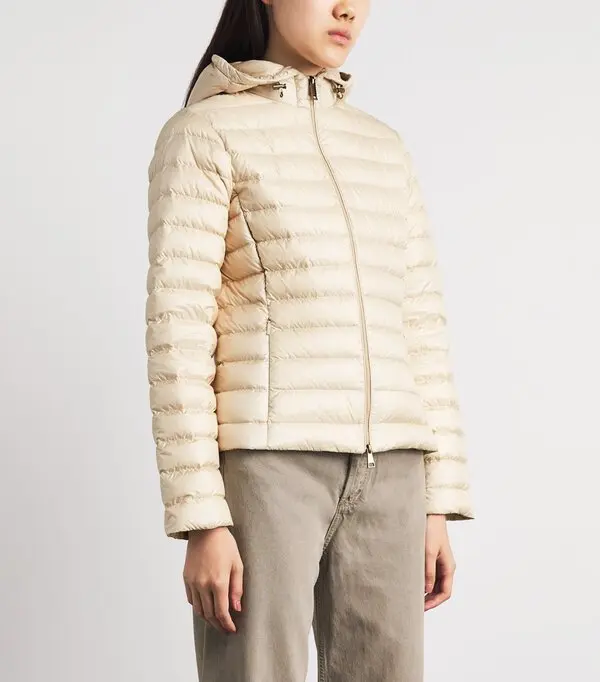 Moncler Down Quilted Igelhood Jacket