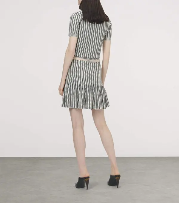 Alexander McQueen Knit Striped Mini Skirt