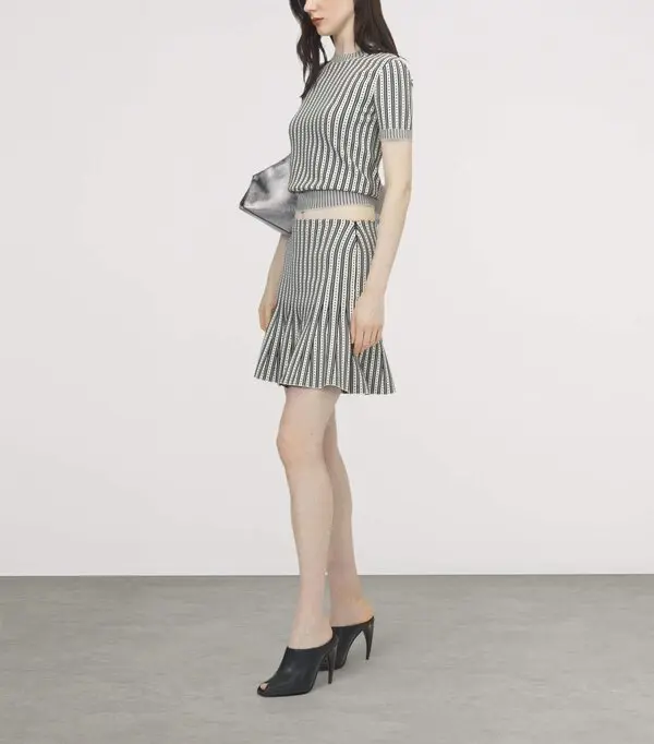 Alexander McQueen Knit Striped Mini Skirt