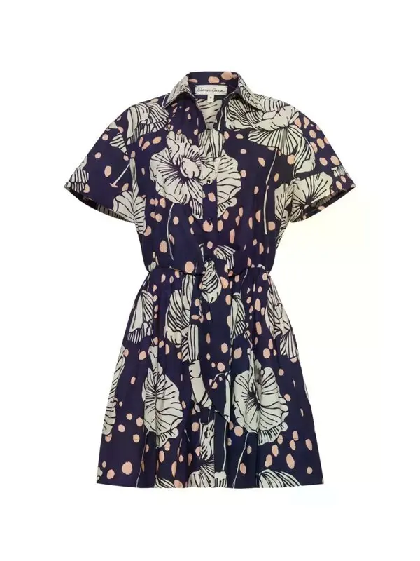 Cara Cara Asbury Floral-print Tie-waist Mini Dress - Blue