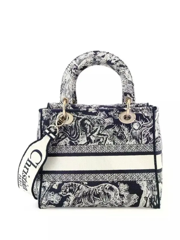 Dior Lady D-lite Embroidered Canvas Medium Satchel Bag - Blue