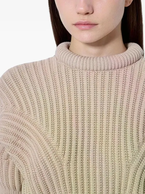 Sportmax Ribbed Knit Cropped Sweater
