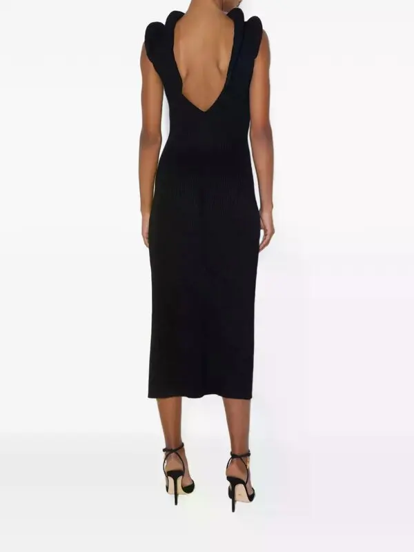 Elisabetta Franchi Knit Dress With 3d Details