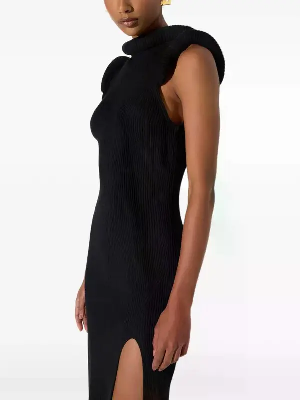 Elisabetta Franchi Knit Dress With 3d Details - Black