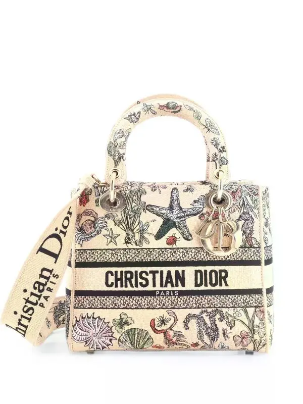 Dior Lady D-lite Bag Embroidered Raffia Medium Satchel - Neutrals