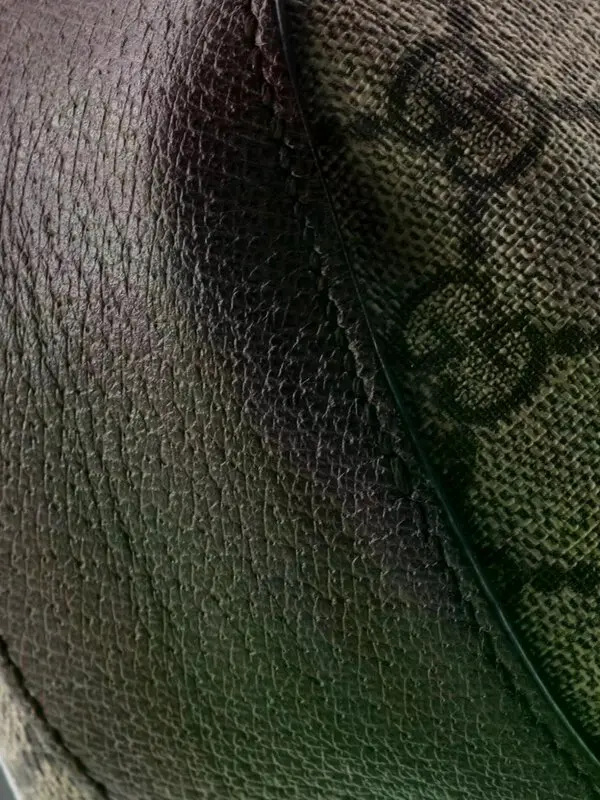 Gucci Dionysus Embroidered Gg Coated Canvas Medium Hobo Bag