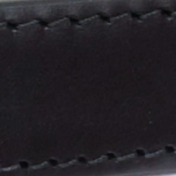 Isabel Marant Étoile Lowell Belt