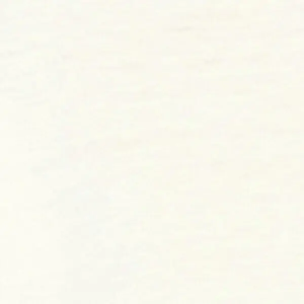 ETOILE Kilsen Tee-shirt - White
