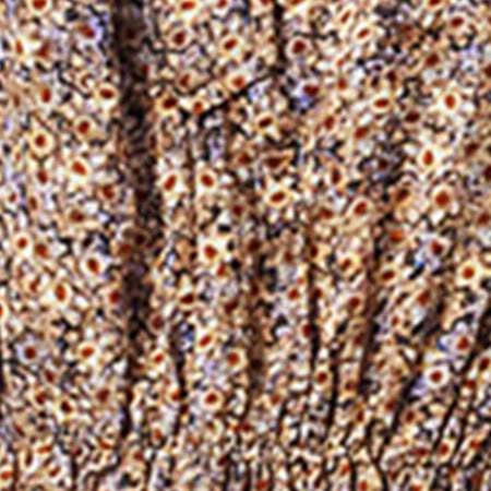 Isabel Marant Étoile Azalea Top