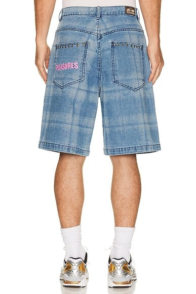PLEASURES Experiment Jorts