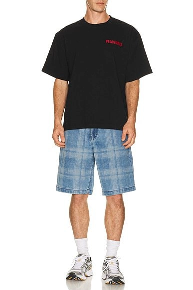 PLEASURES Experiment Jorts
