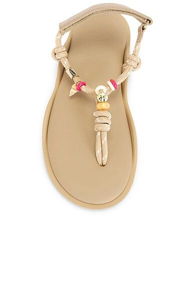 Flowze X Collanine Colorate Flo Sandal - Argilla