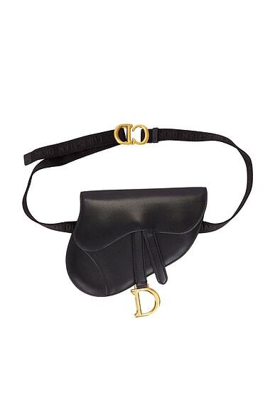 Dior Saddle Belt Bag