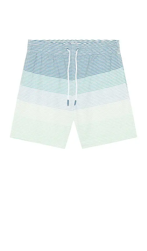 TRUNKS SURF & SWIM CO. Sano 6.5 Swim Short In . Also