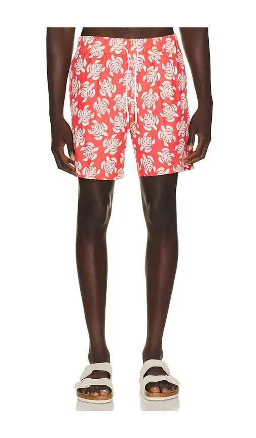 TRUNKS SURF & SWIM CO. Sano 6.5 Swim Short In . Also