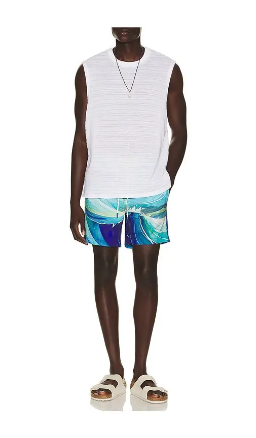 TRUNKS SURF & SWIM CO. Sano 6.5 Swim Short In . Also