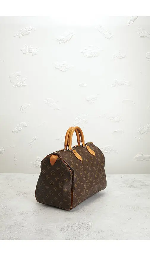 FWRD RENEW Louis Vuitton Monogram Speedy 30 Handbag
