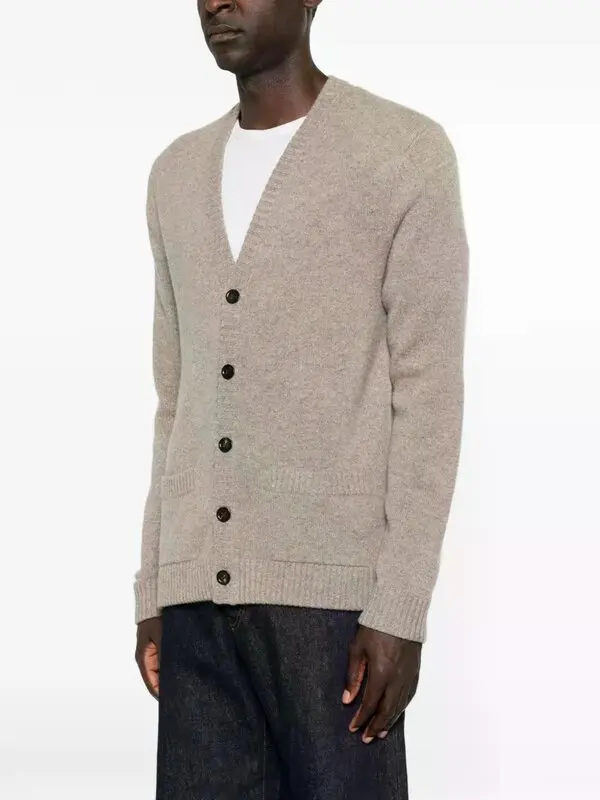 Eric Bompard V-neck Cardigan