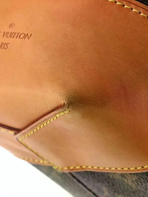 LOUIS VUITTON Monogram Canvas Pm Hobo Bag