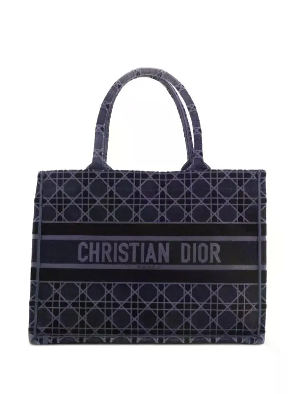 Dior Book Cannage Embroidered Velvet Medium Tote Bag - Blue