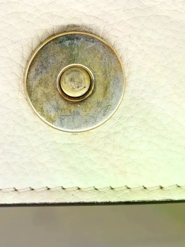 Chloé Nile Leather Medium Crossbody Bag