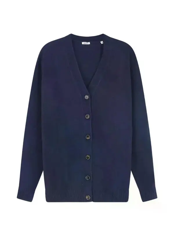 Aspesi Button-fastening V-neck Cardigan
