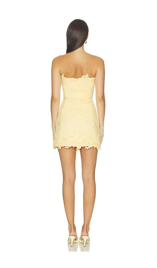 LOVERS AND FRIENDS Edith Mini Dress