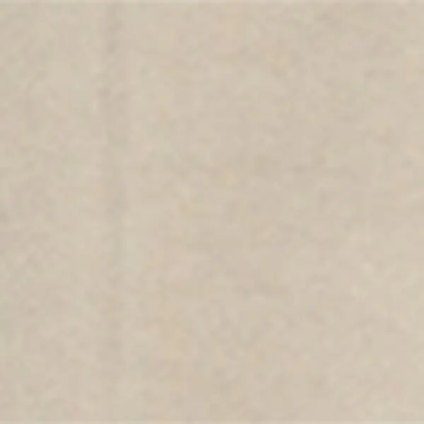 Prada Cotton Gabardine Shorts