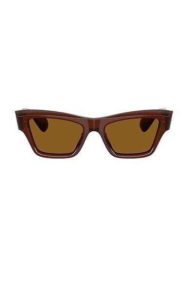 Oliver Spencer X Jil Sander Cat Eye Sunglasses - Brown
